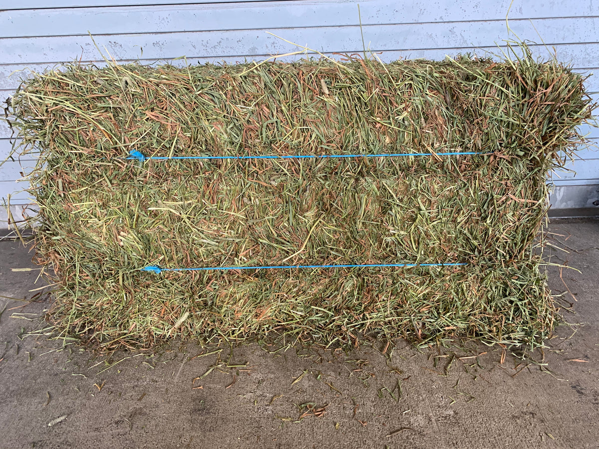 Hay – C&C Feed Store