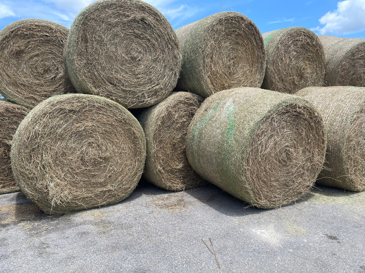 Tifton Roll – C&C Feed Store