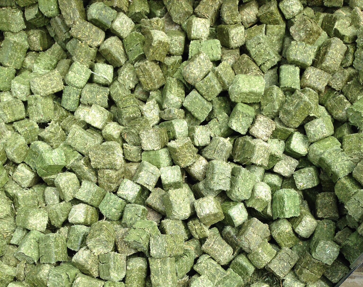 Seminole Alfalfa Cubes – C&C Feed Store