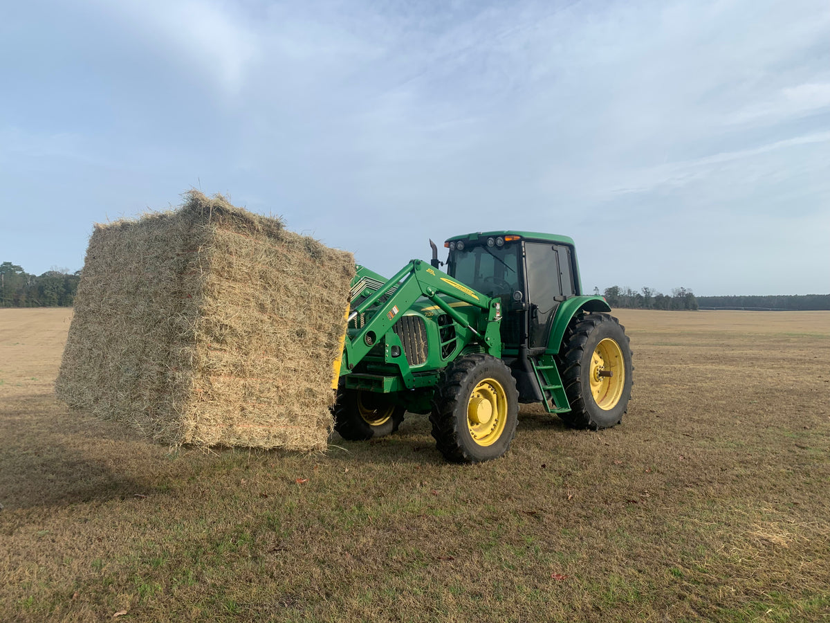 Tifton 44 – C&C Feed Store